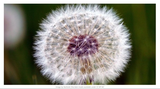 The National Teaching Repository – Learning from each other so that we ...